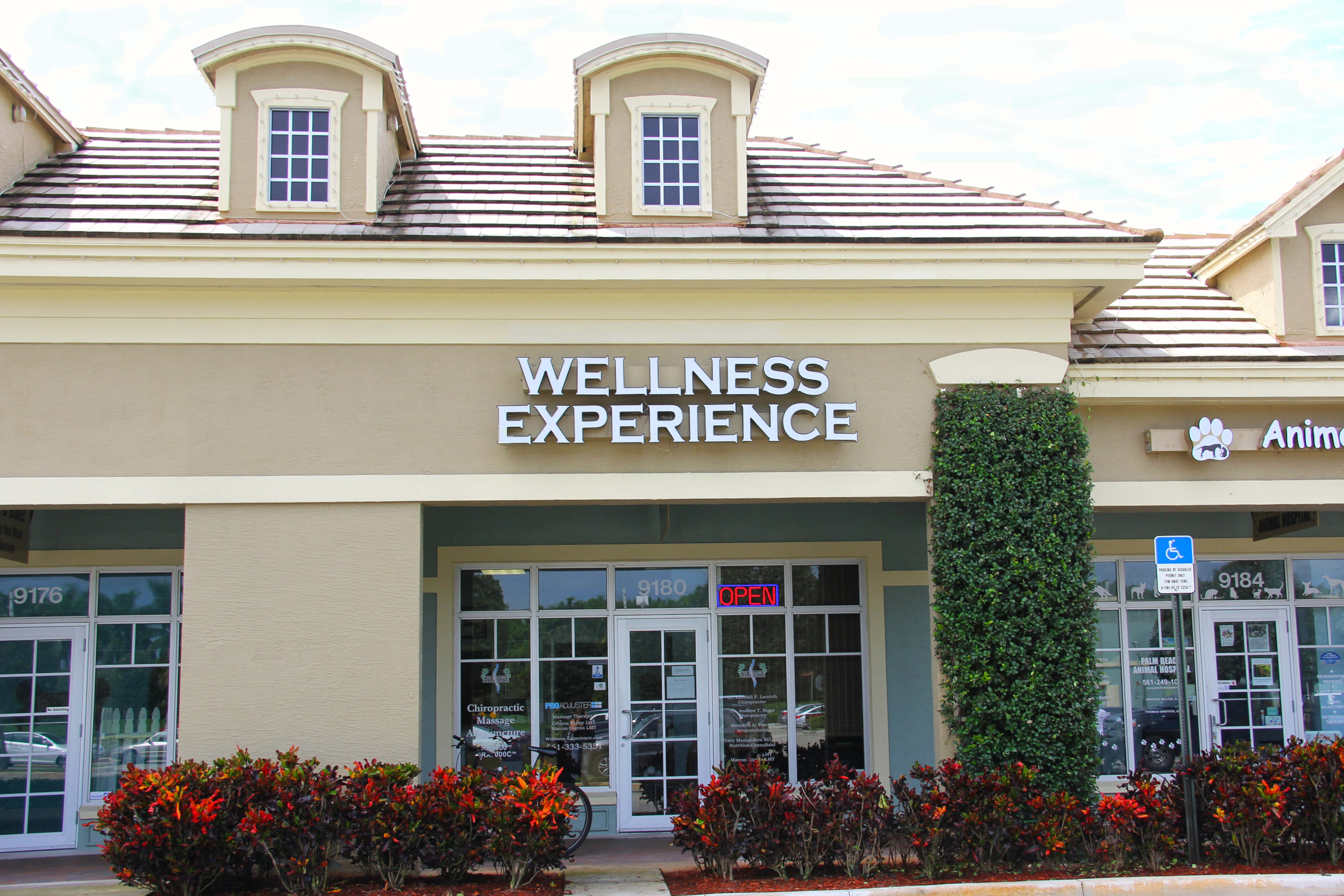 Home [wellness-experience.com]